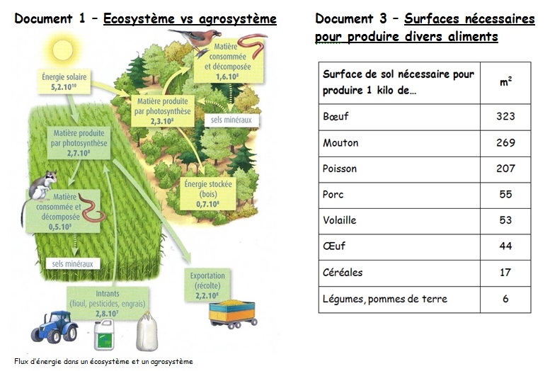 Chapitre 4 - Structure et fonctionnement des agrosystèmes ...